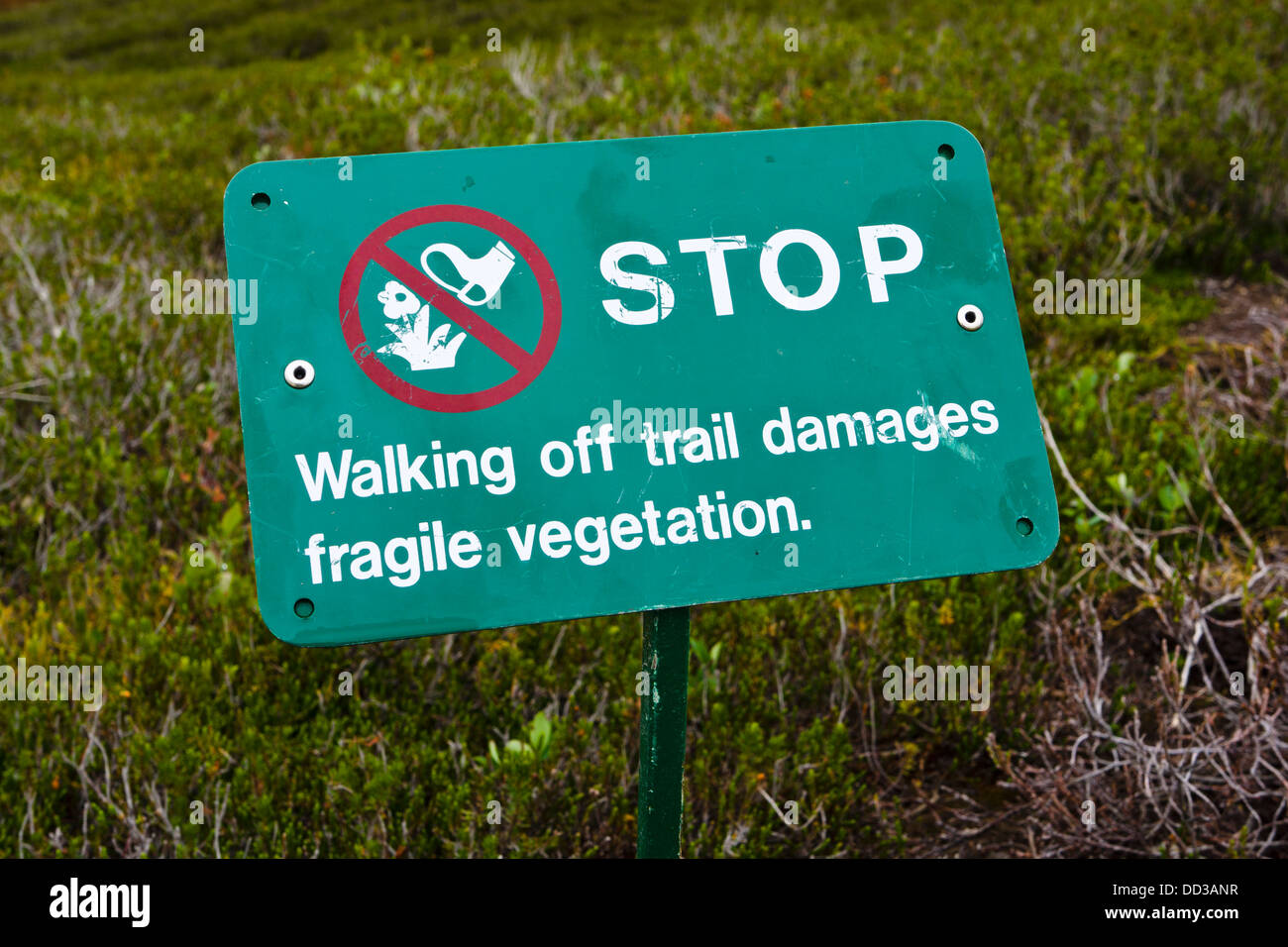 Sign warning visitors not to walk off trail. Garibaldi Provincial Park ...