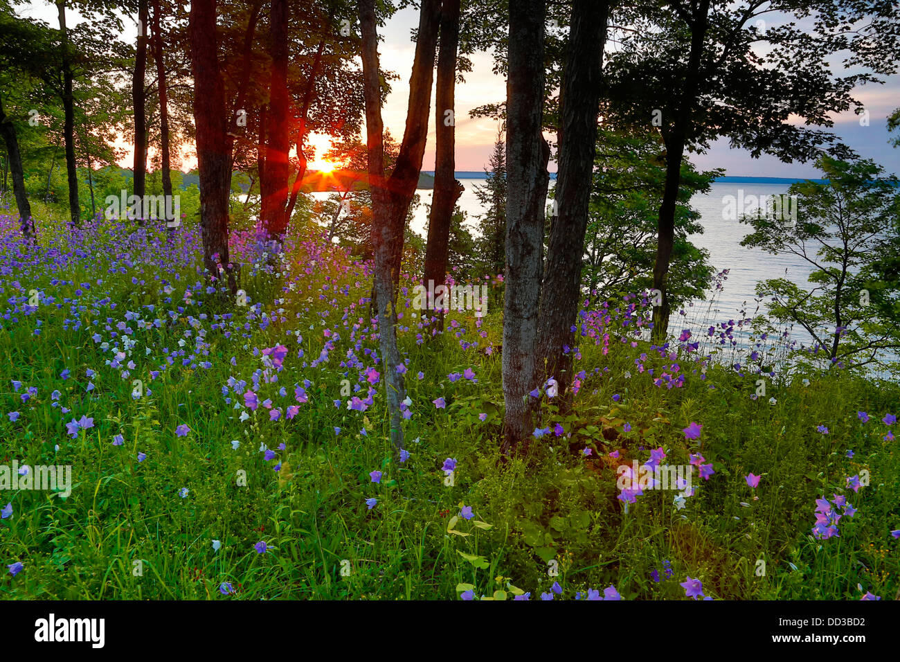 Manitoulin island mindemoya hi-res stock photography and images - Alamy