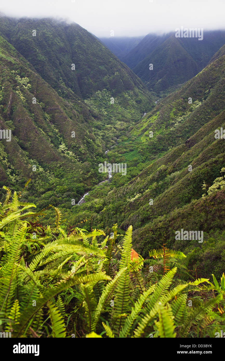 Hawaii, Maui, Waihee, A View Of Waihee Valley With Tall Lush Cliffs ...