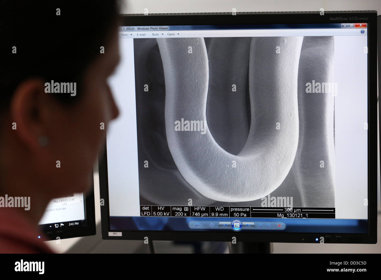 Rostock chemist Katrin Sternberg works on a scanning electron ...