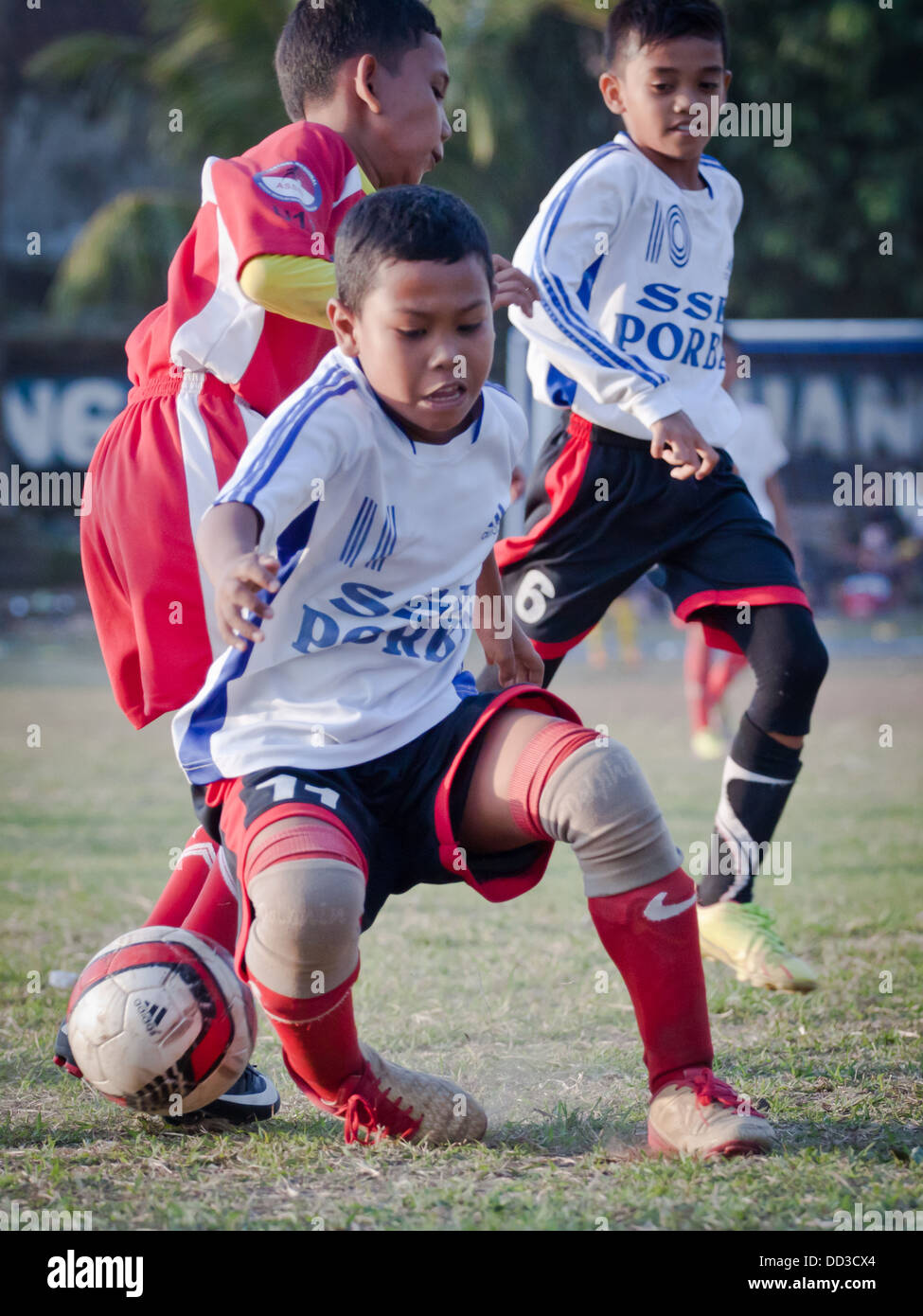 Tackling hi-res stock photography and images - Alamy