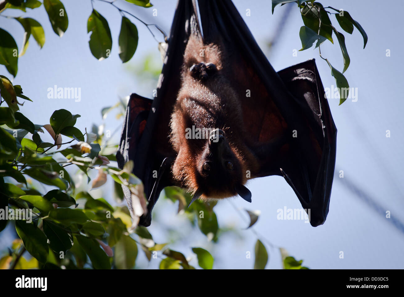 Zonyphotography hi-res stock photography and images - Alamy