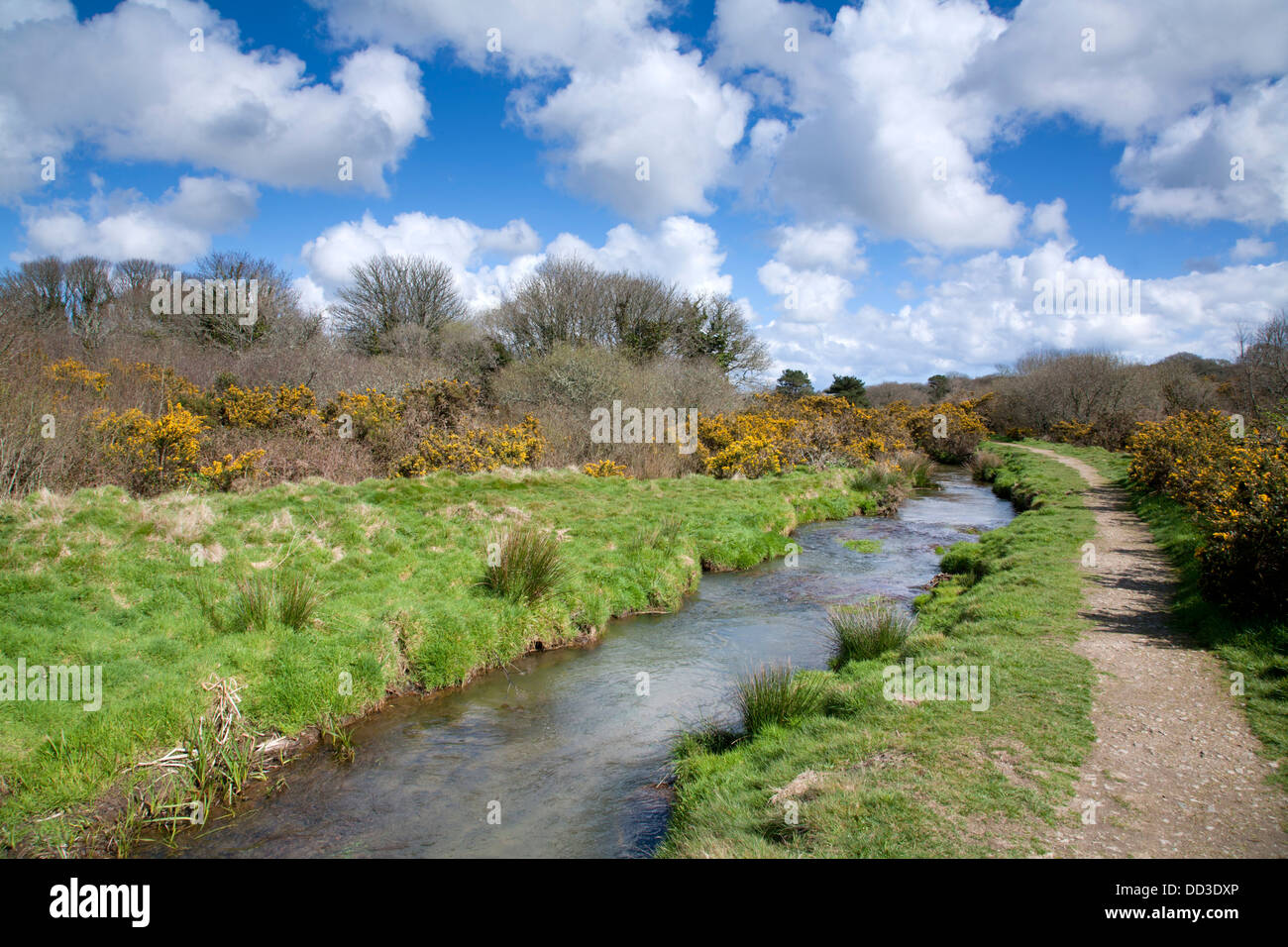 River hayle hi-res stock photography and images - Alamy