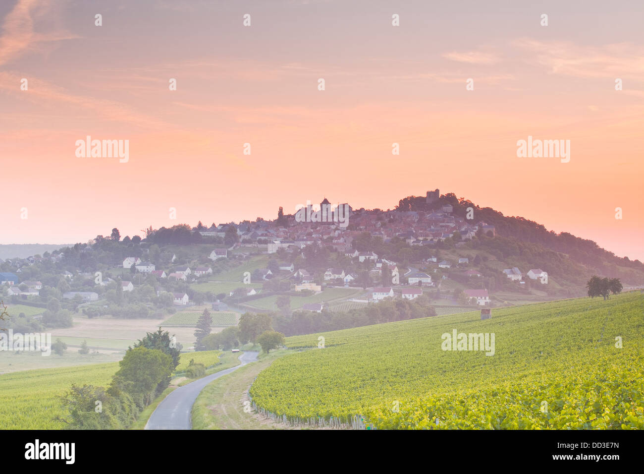 The vineyards of Sancerre in the Loire Valley of France Stock Photo - Alamy