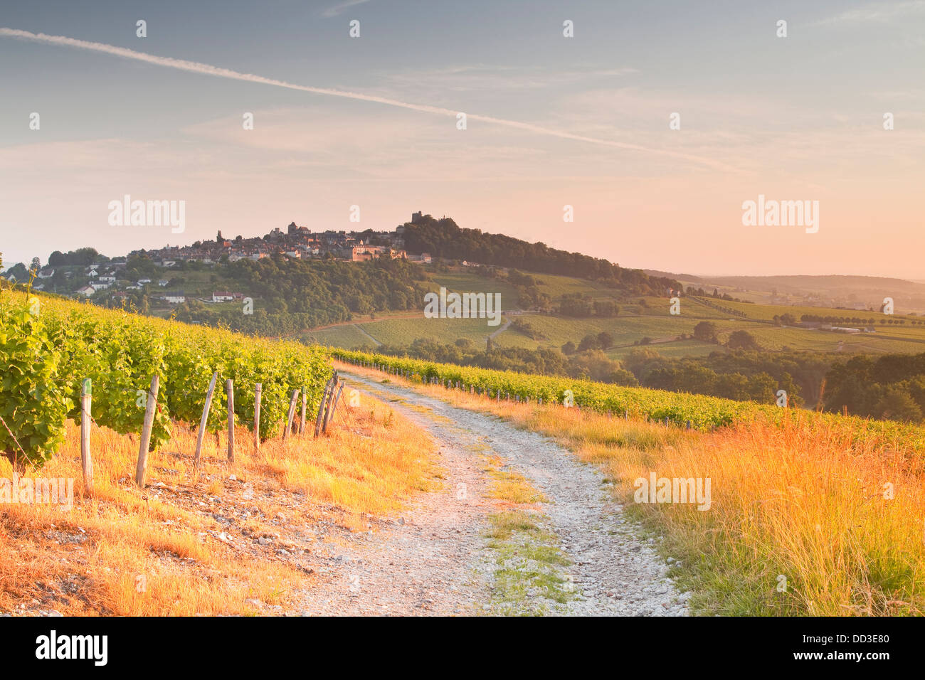 The vineyards of Sancerre in the Loire Valley of France Stock Photo - Alamy