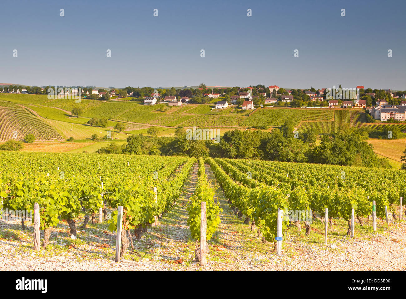 The vineyards of Sancerre in the Loire Valley of France Stock Photo - Alamy