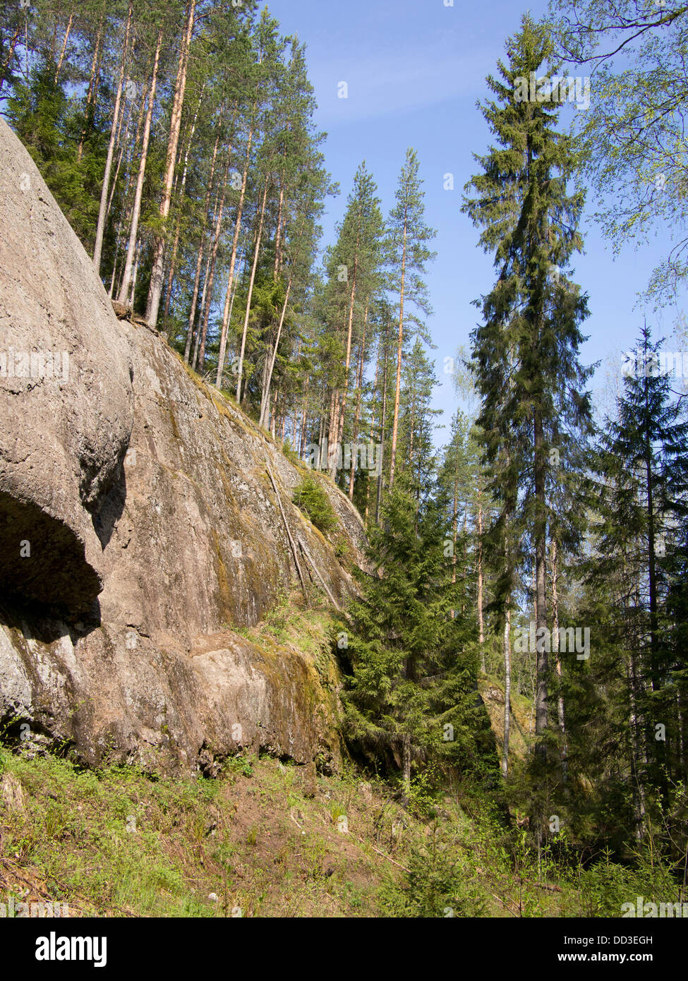 trees, sky and rock Stock Photo - Alamy