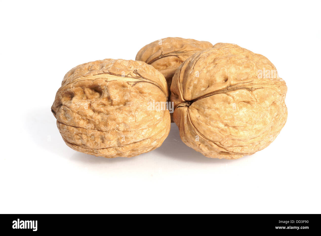 Silver and walnut Cut Out Stock Images & Pictures - Alamy