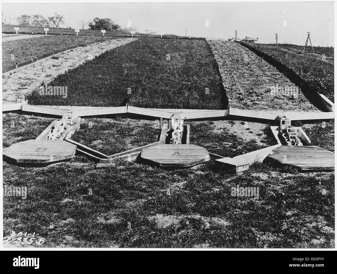 This photograph shows special plots designed to measure soil and water ...