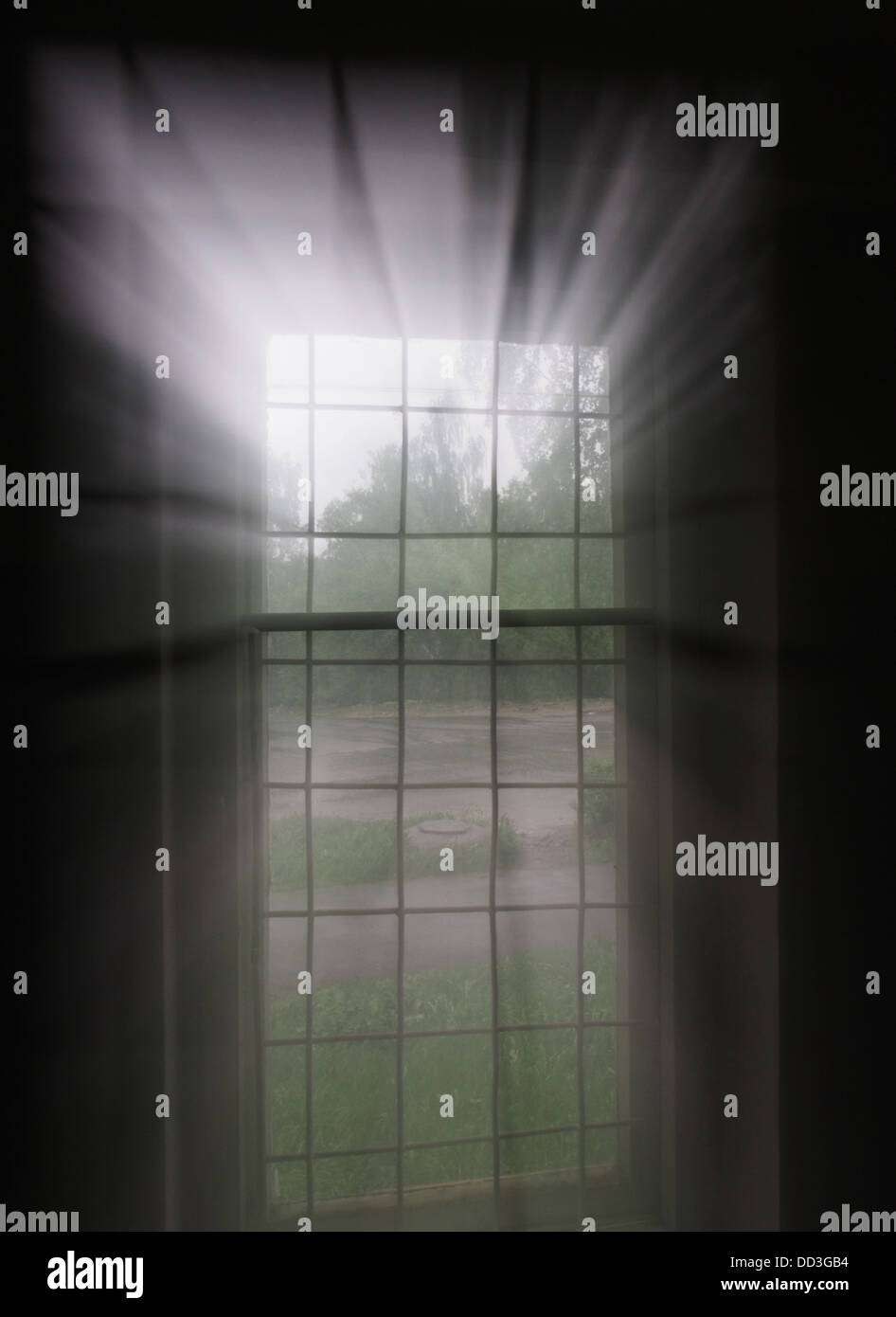 Room window view nature illustration hi-res stock photography and ...