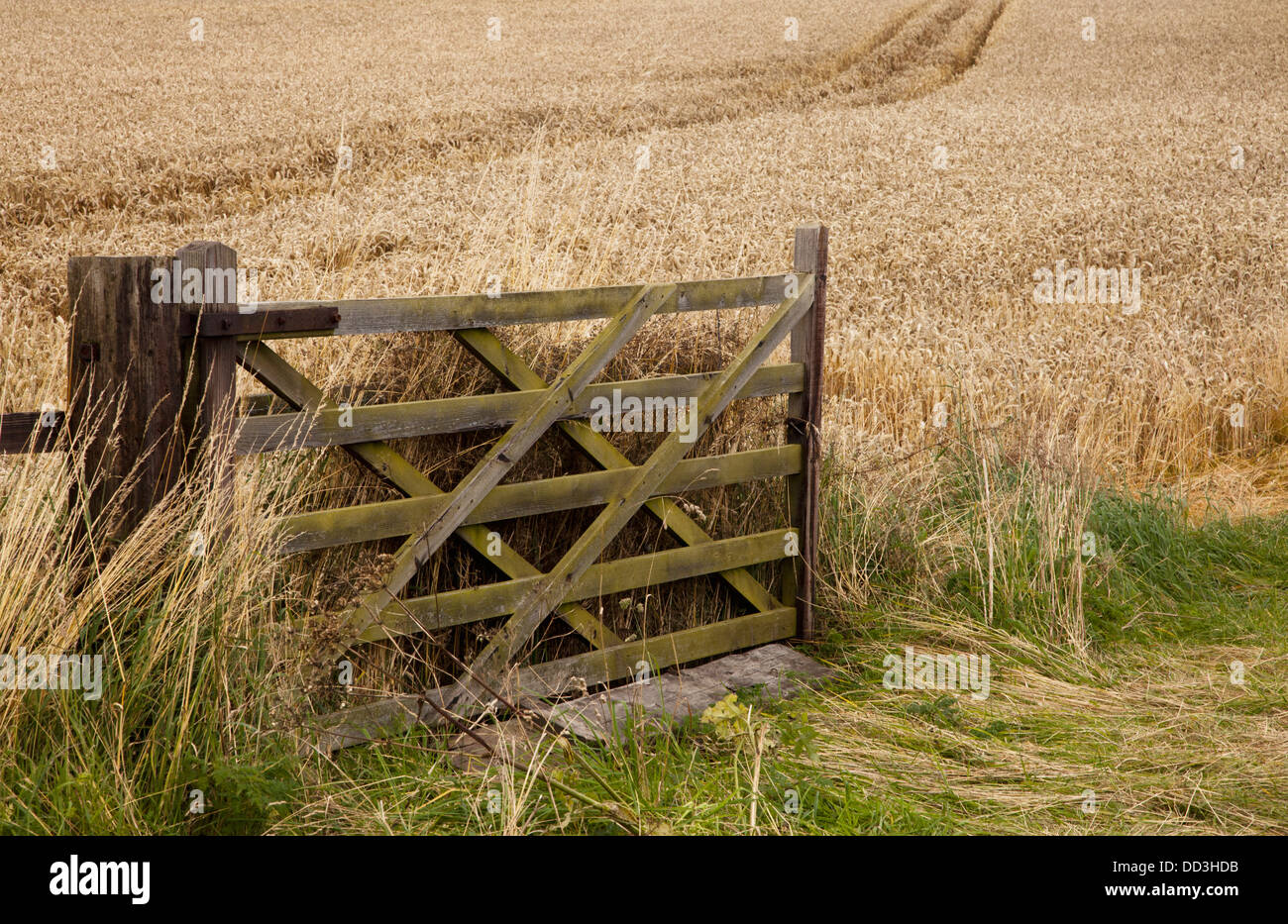 Wooden field gates hi-res stock photography and images - Alamy