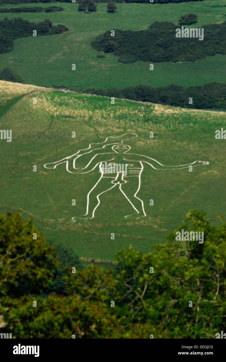 A view of the Cerne Abbas Giant carved into the hillside UK Stock Photo ...