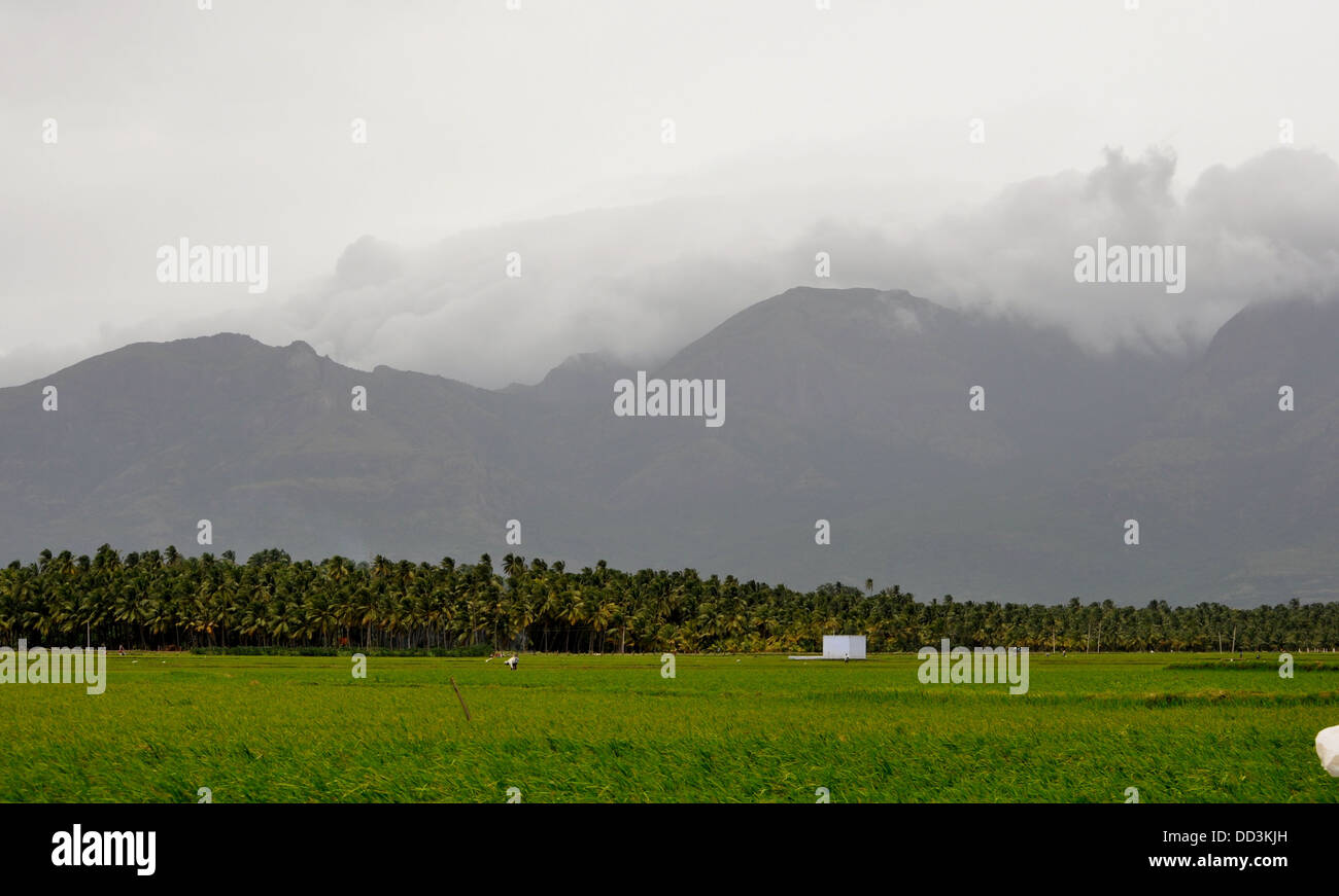 Nilgiris mountains and farms of south india Stock Photo - Alamy