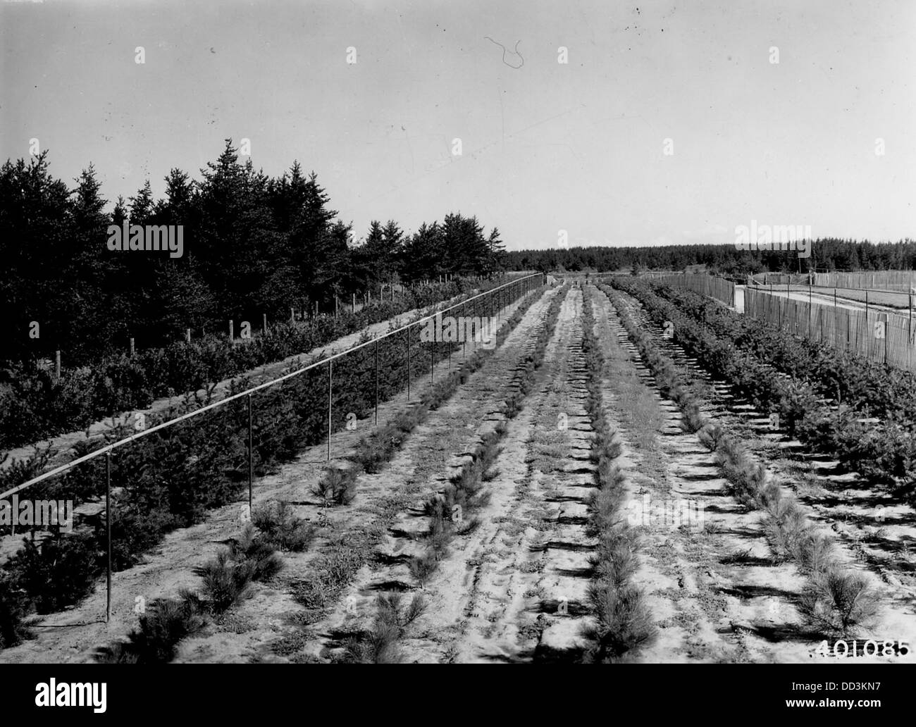 The West Windbreak is a feature used to protect against wind erosion ...