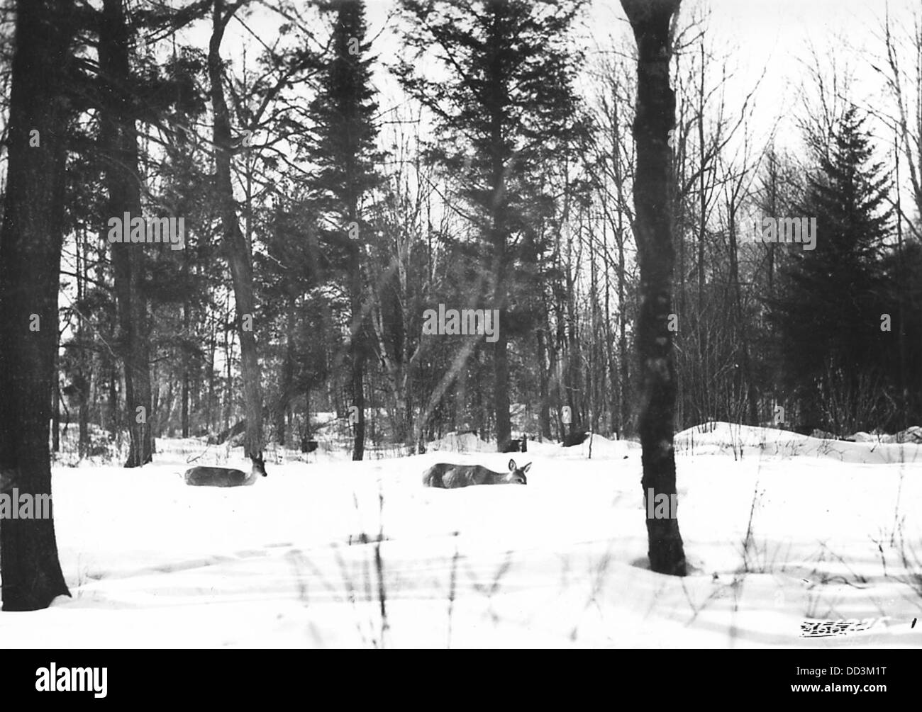 Cold adaptation Black and White Stock Photos & Images - Alamy