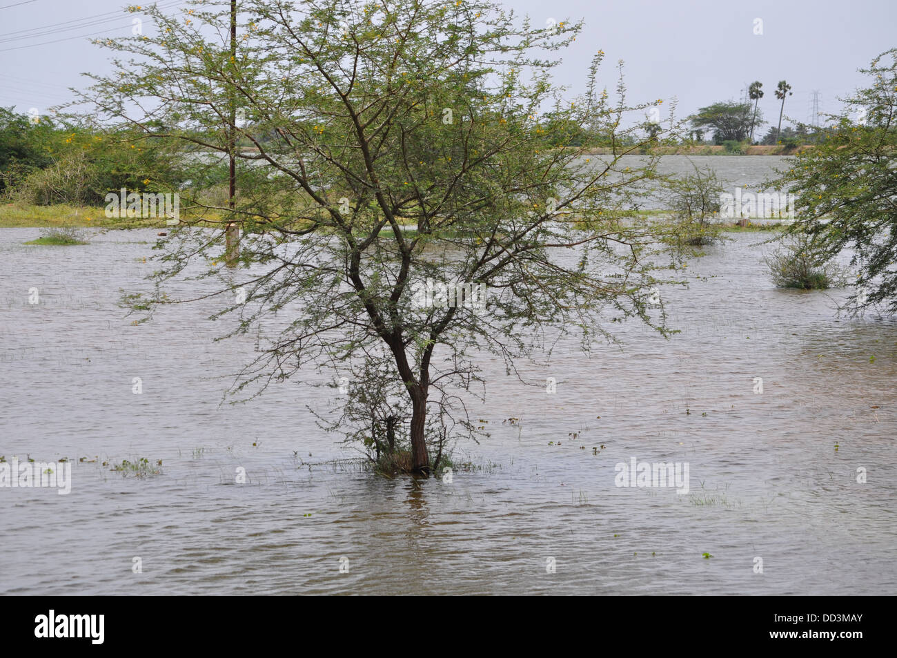 Floods and water logging Stock Photo - Alamy