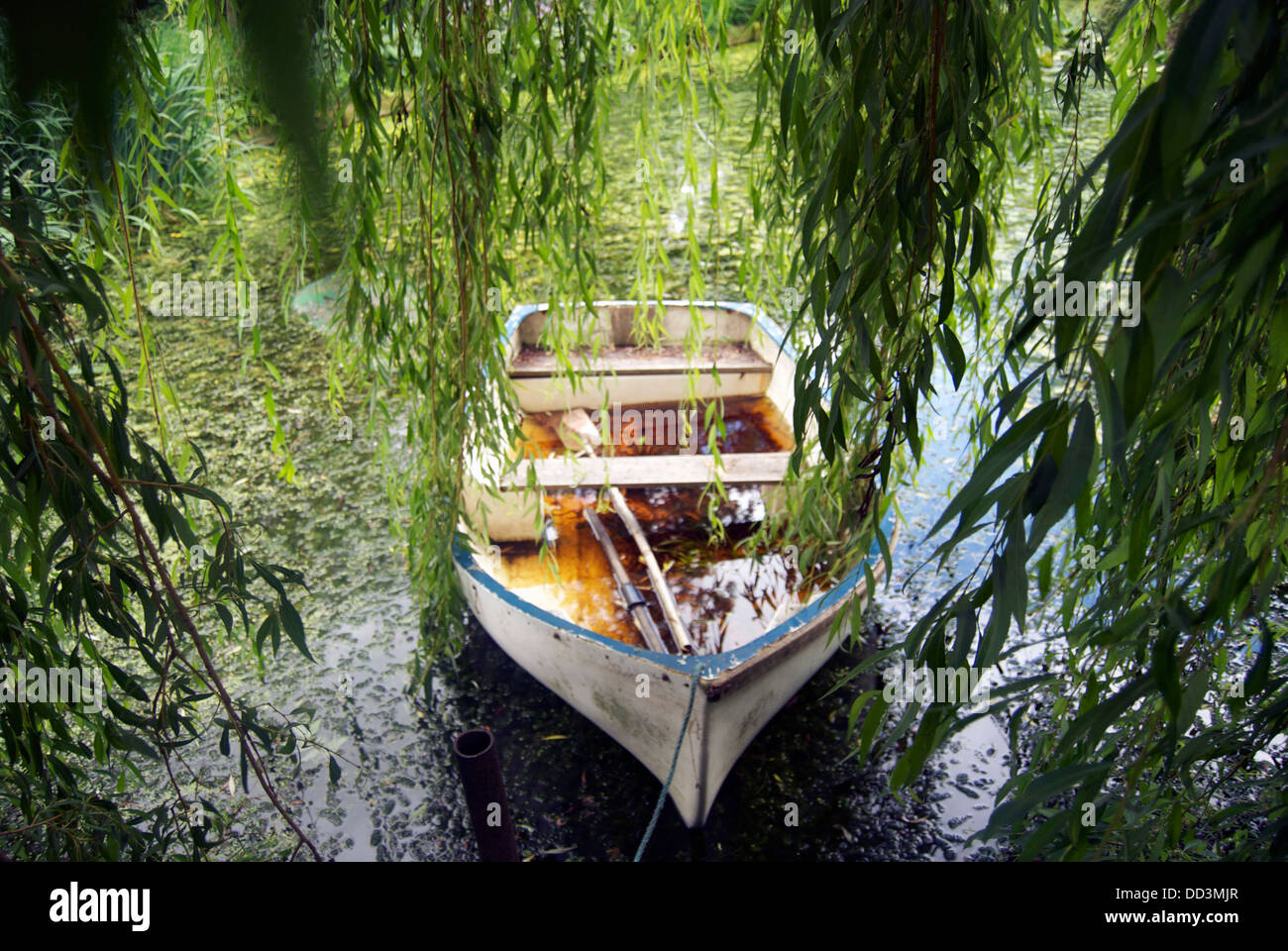A small rowing boat on the water under a weeping willow Stock Photo - Alamy