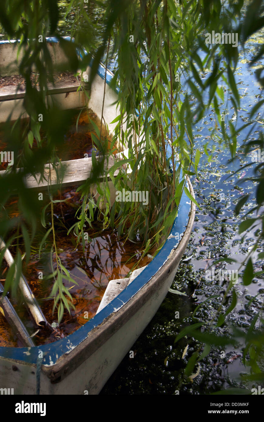 A small rowing boat on the water under a weeping willow Stock Photo - Alamy