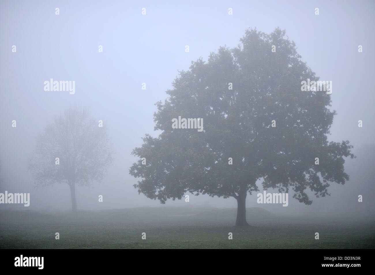 London views in the fog hi-res stock photography and images - Alamy