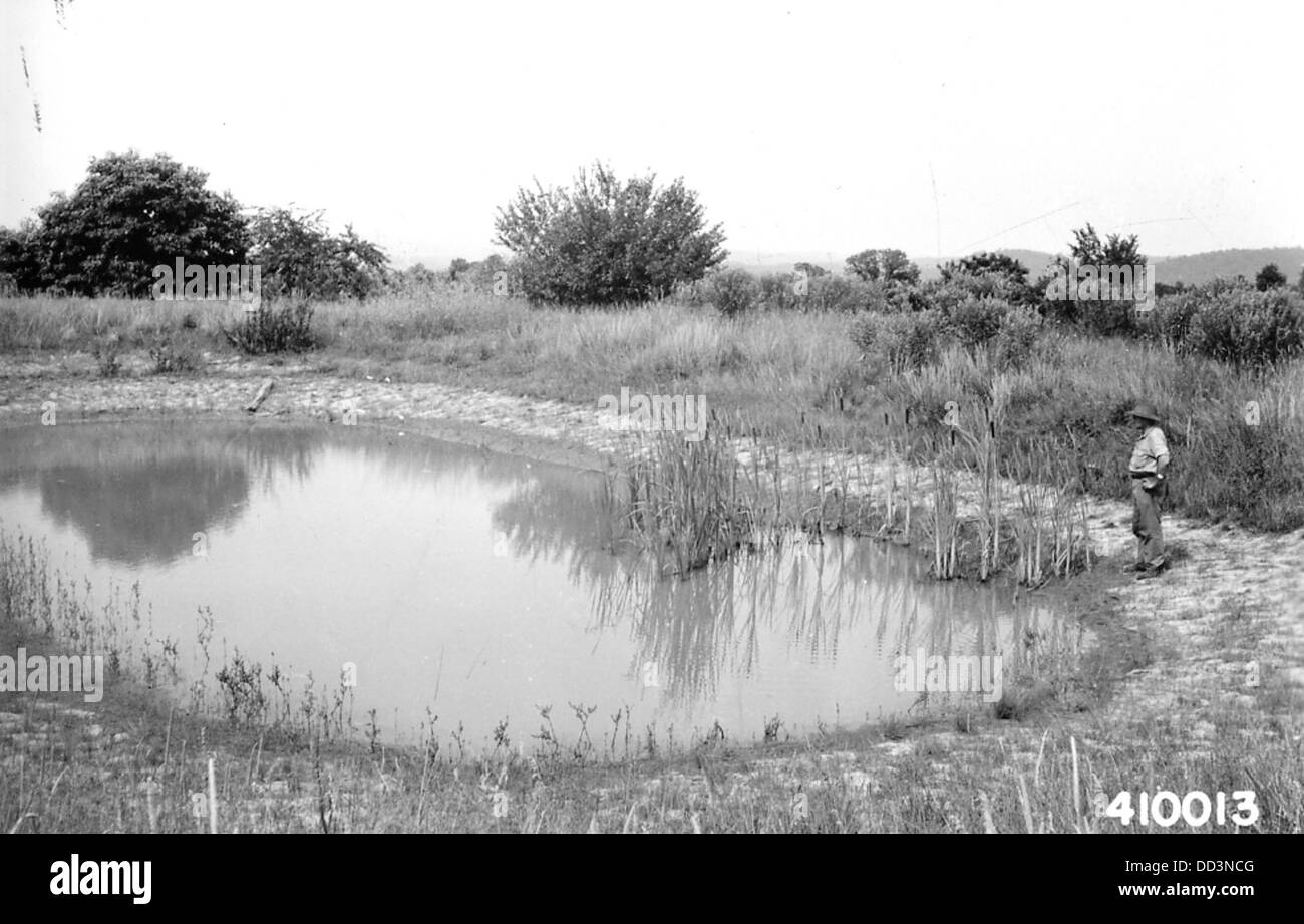 A peaceful wildlife pond, providing a habitat for various species of ...
