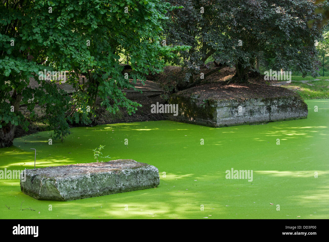 German ww1 bunker hi-res stock photography and images - Alamy
