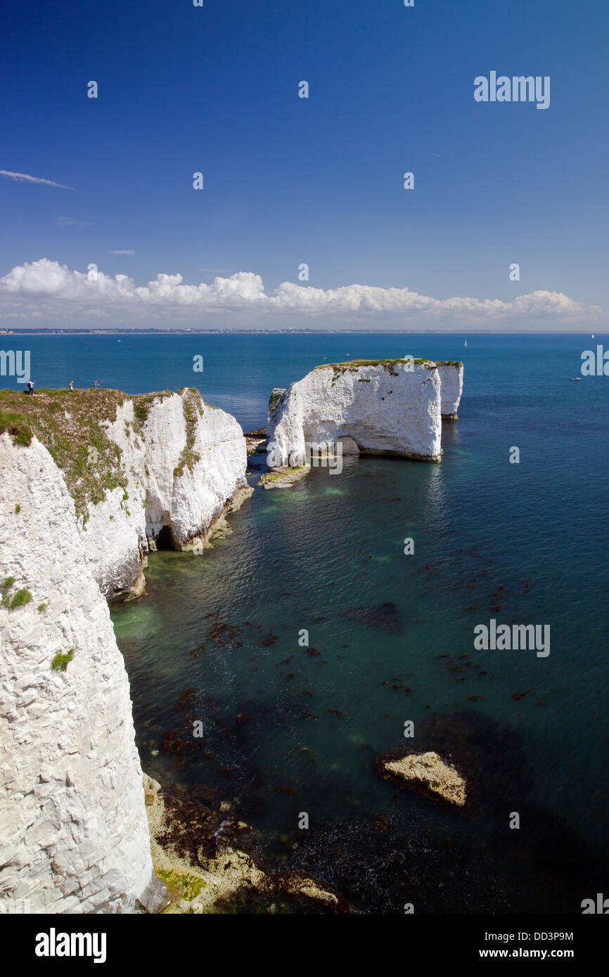 The spectacular chalk cliffs at Old Harry Rocks on the Dorset 'Jurassic ...