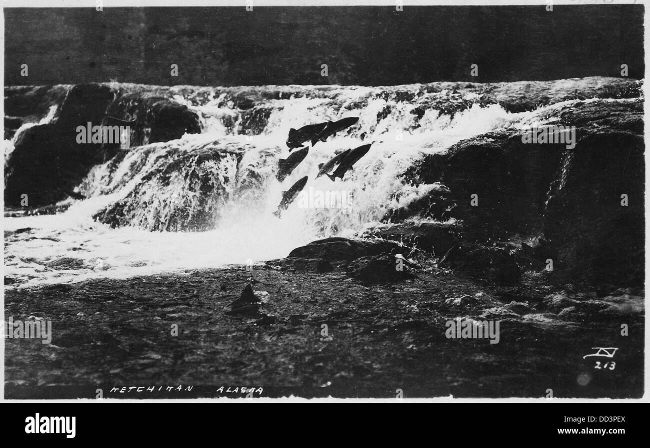 Ketchikan river Black and White Stock Photos & Images - Alamy