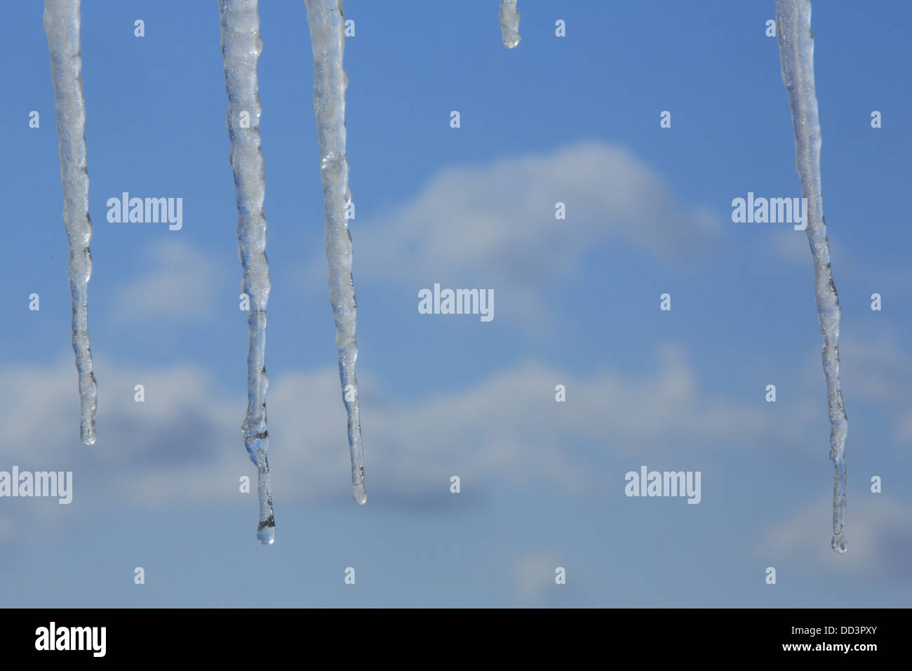Frozen holiday hi-res stock photography and images - Alamy