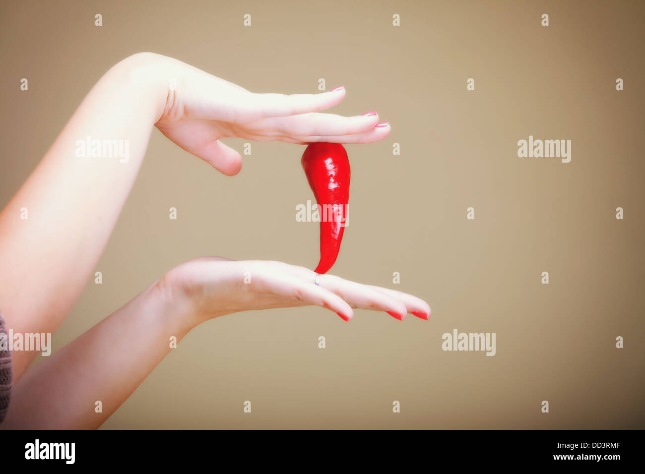 chili pepper in female hand brown background Stock Photo - Alamy