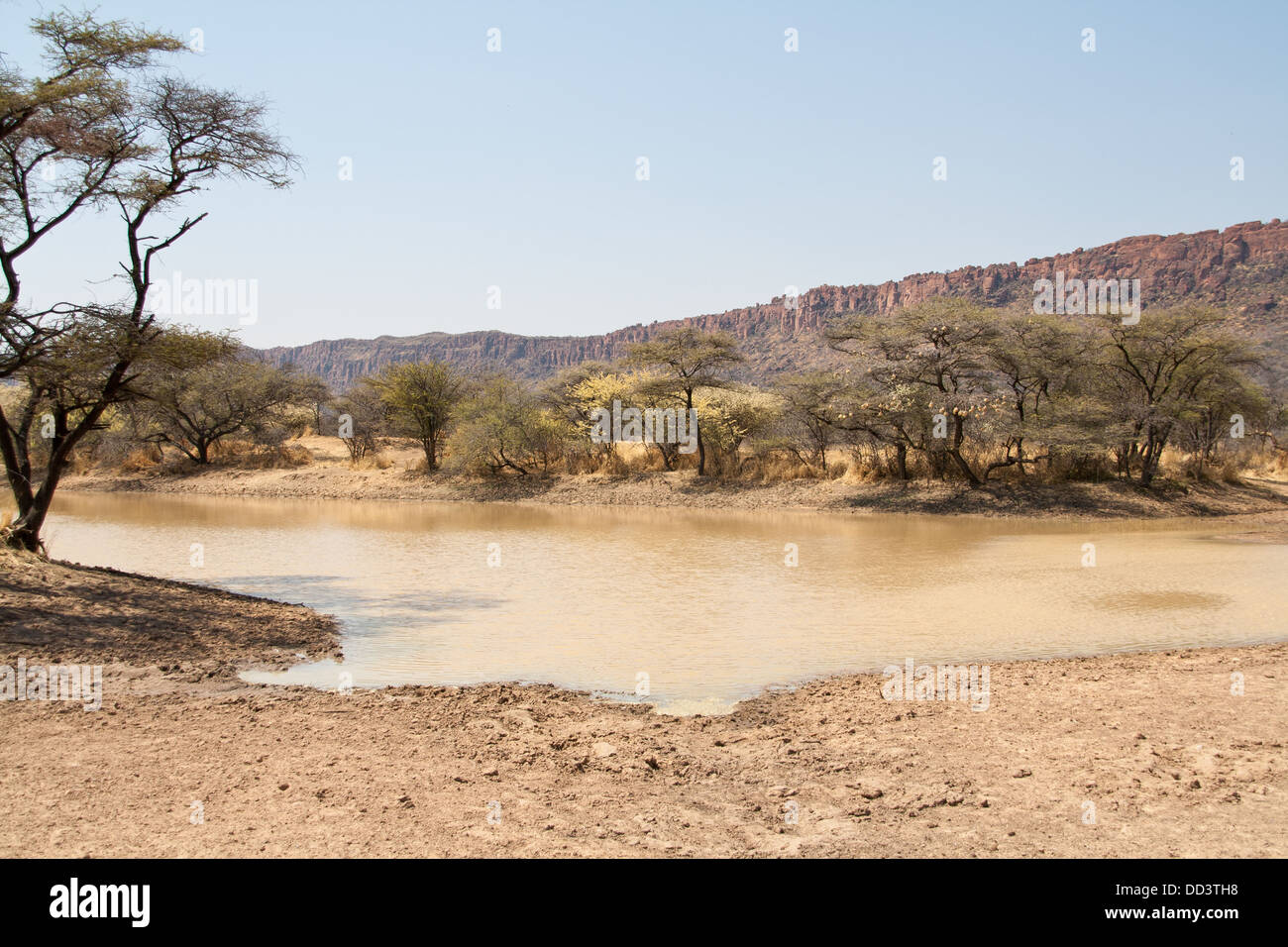 An African natural waterhole in Namibia Stock Photo - Alamy