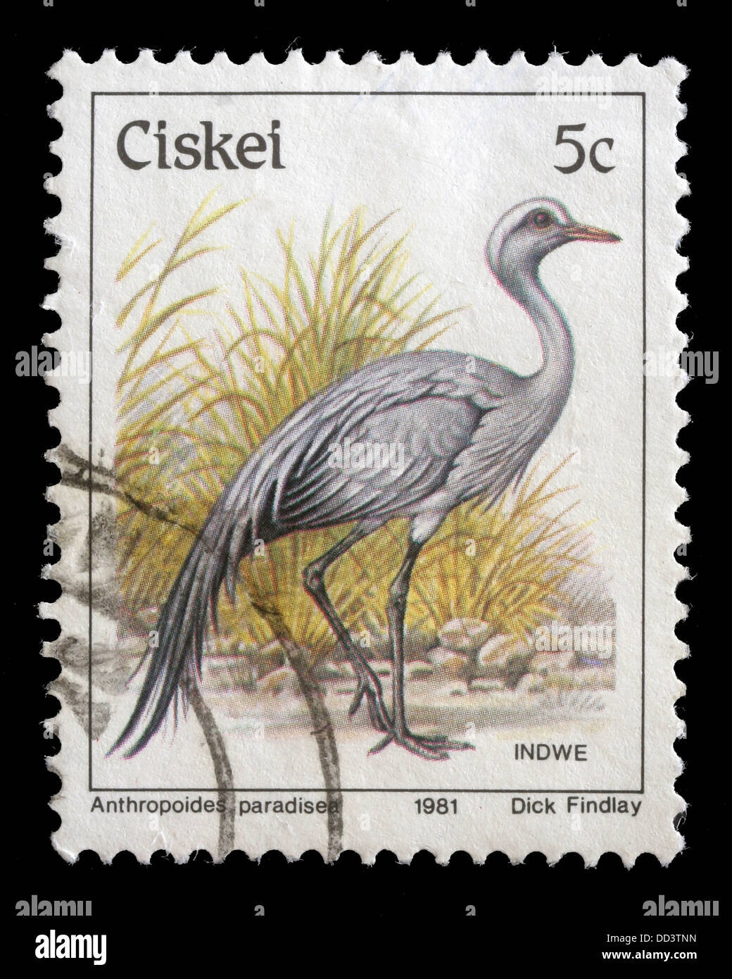 Blue crane bird postage stamp hi-res stock photography and images - Alamy