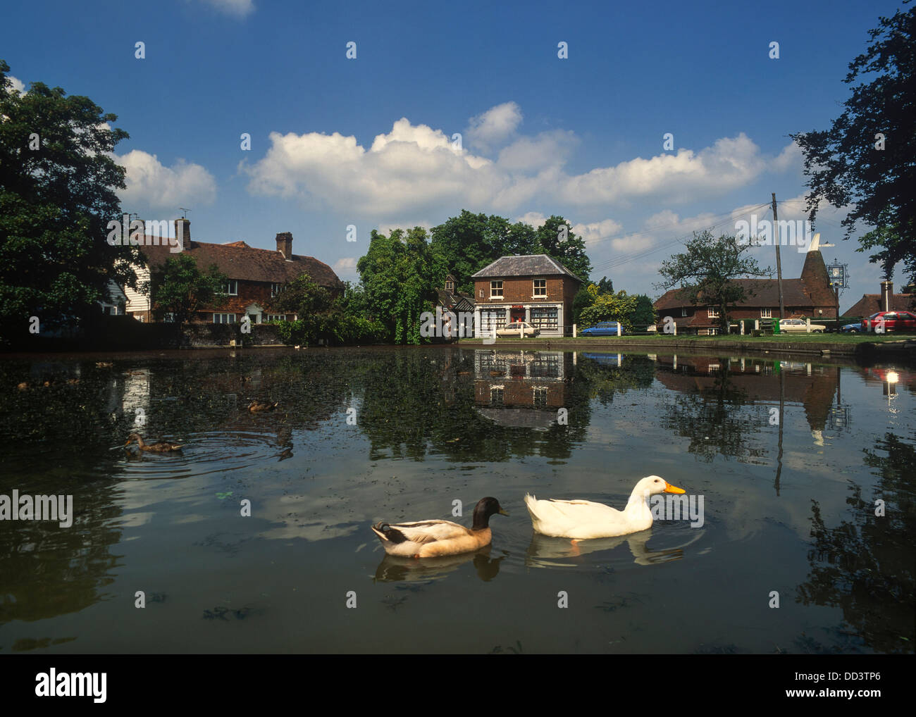 Duck pond. Goudhurst village. Weald of Kent, England. UK Stock Photo ...