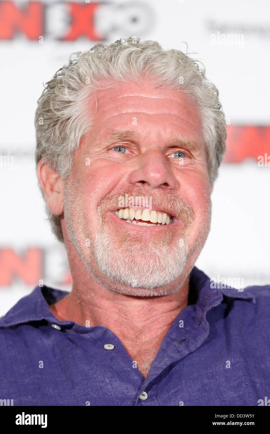 Toronto, ON. 25th Aug, 2013. Ron Perlman at a public appearance for FAN ...