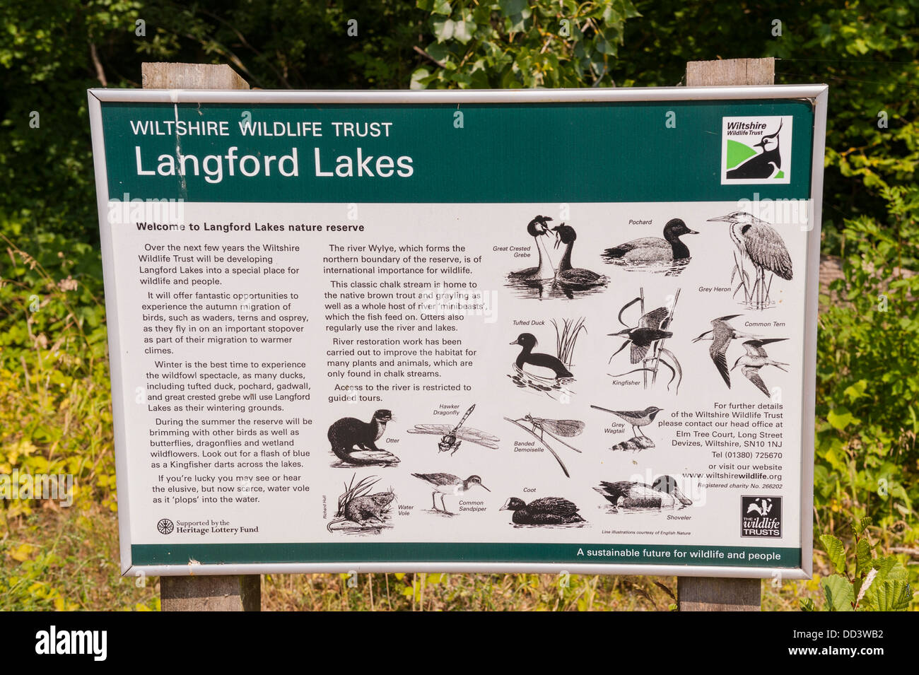 Wiltshire Wildlife Trust High Resolution Stock Photography and Images ...