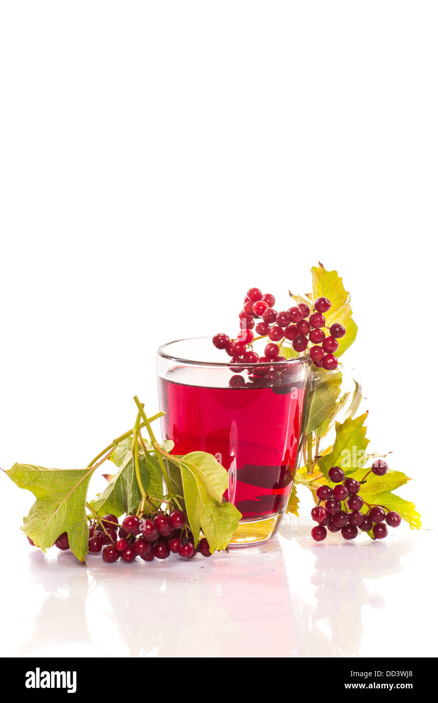 Cup viburnum tea teapot hi-res stock photography and images - Alamy