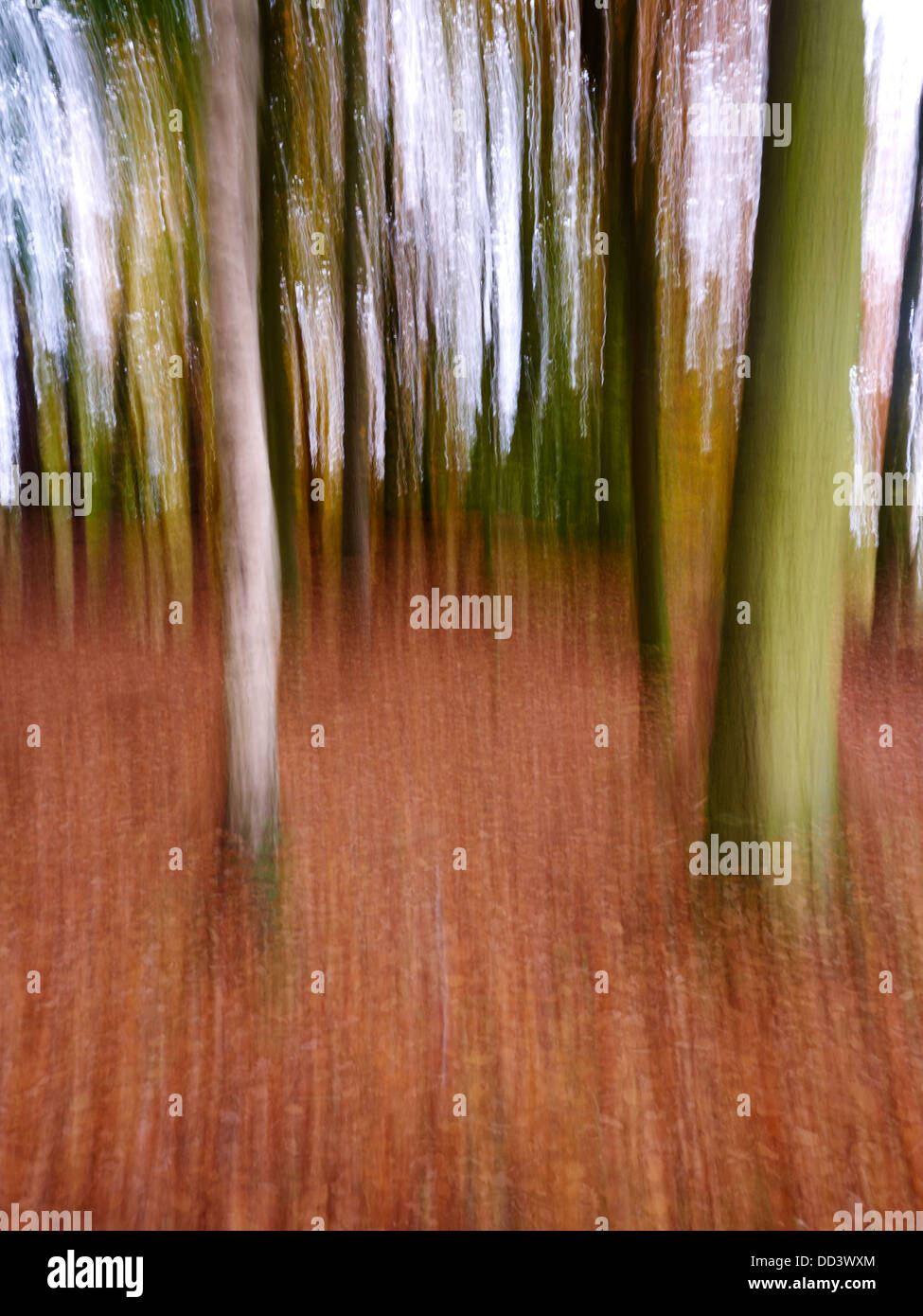 Blurred trees hi-res stock photography and images - Alamy