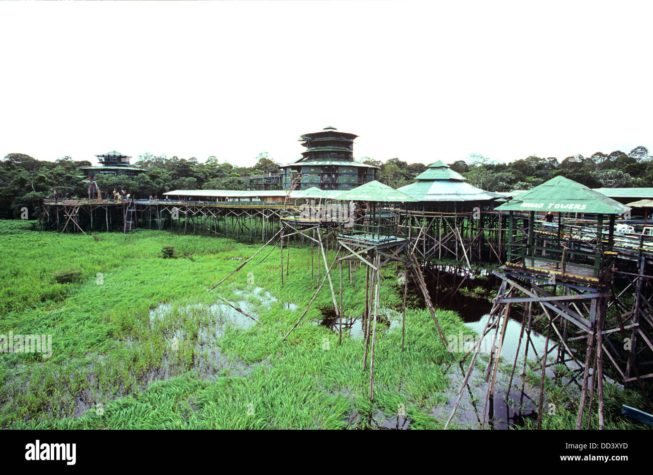 Ariau Amazon Towers High Resolution Stock Photography and Images - Alamy