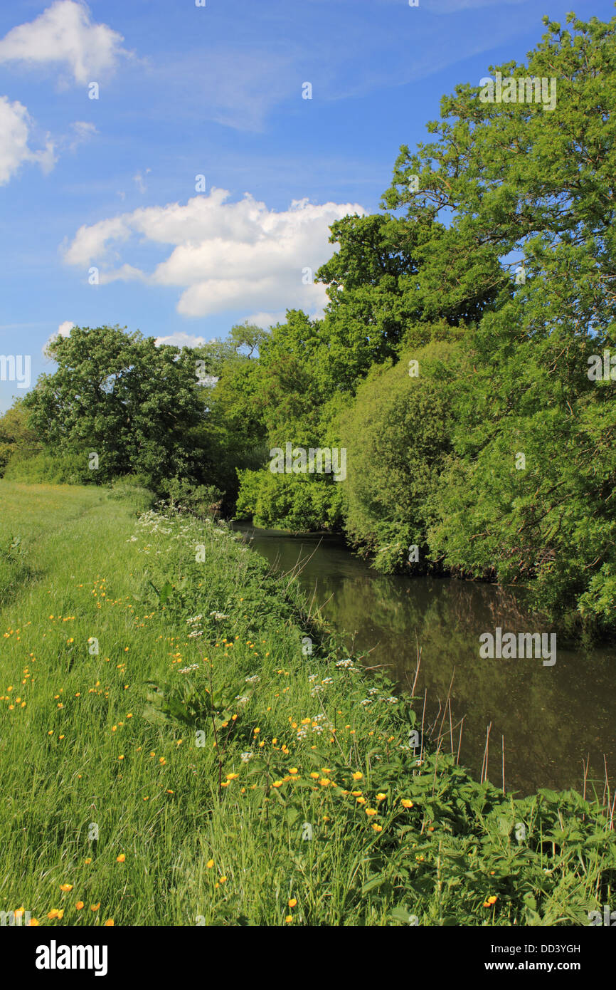 The River Mole at Mickleham between Dorking and Leatherhead, Surrey ...