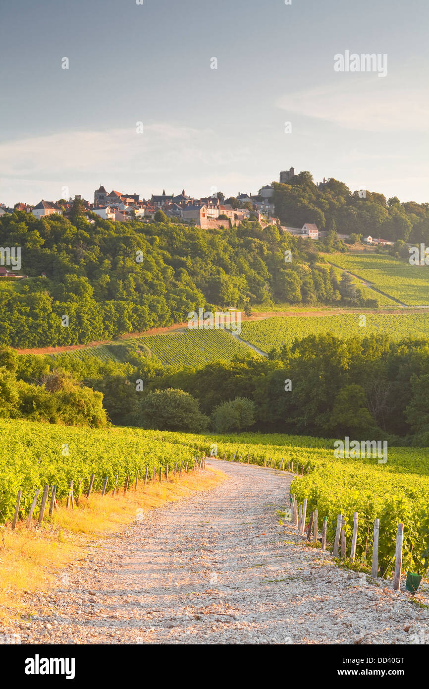Vineyard sancerre in loire valley hi-res stock photography and images ...