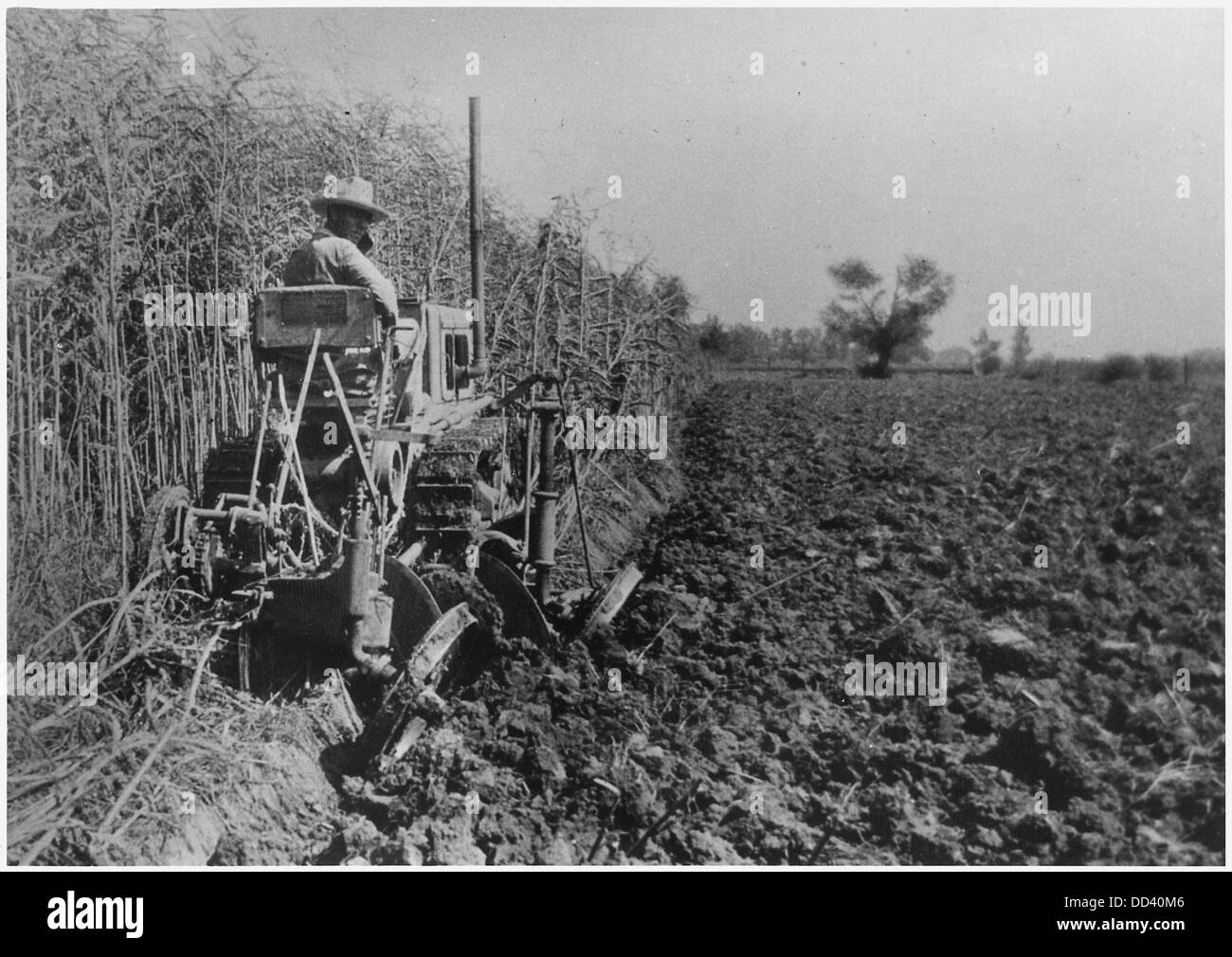 Enrich the soil Black and White Stock Photos & Images - Alamy