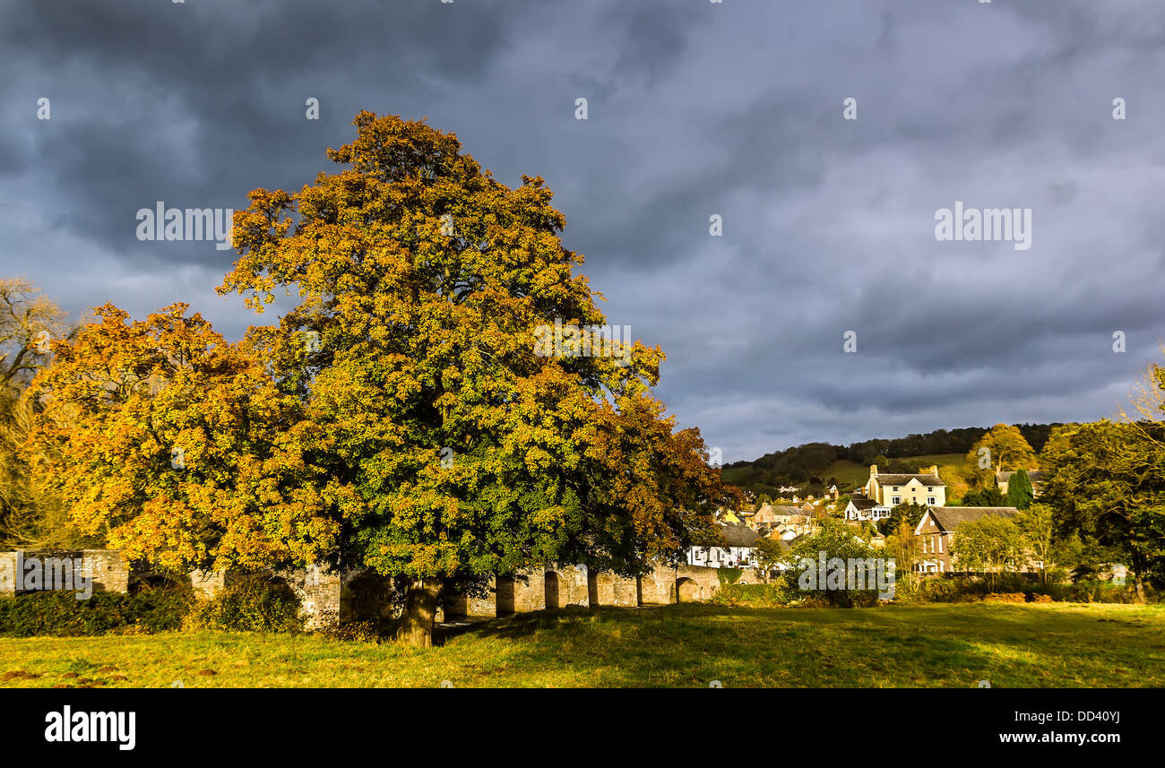 Village oak hi-res stock photography and images - Alamy