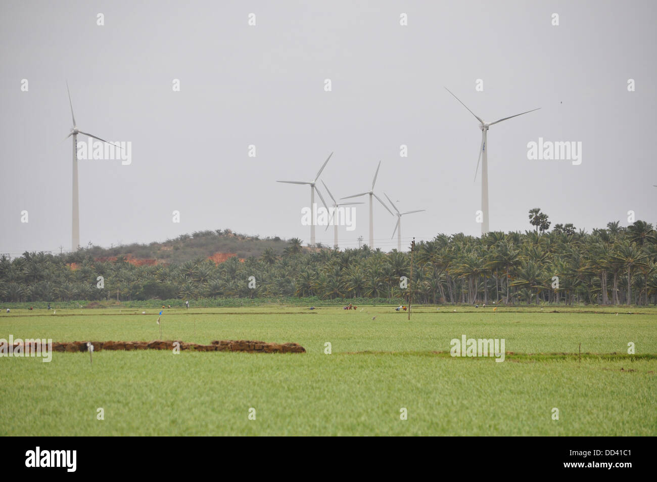 Nilgiris mountains and farms of south india Stock Photo - Alamy