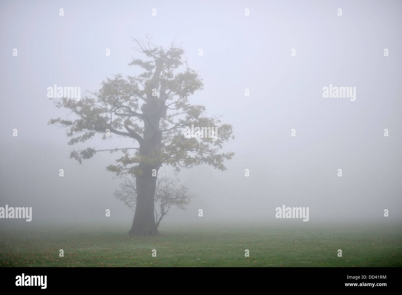 London views in the fog hi-res stock photography and images - Alamy
