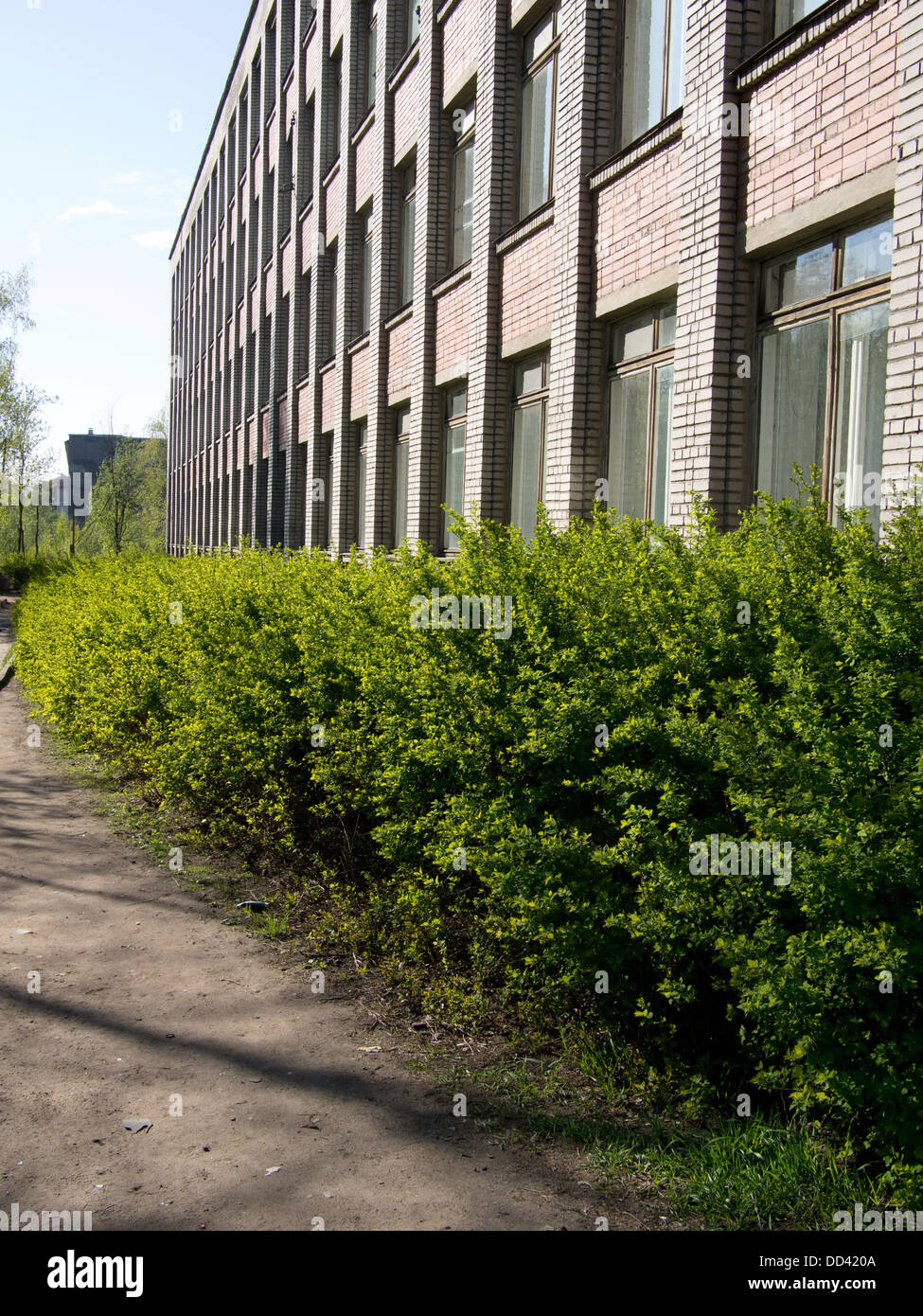 bush and building Stock Photo - Alamy