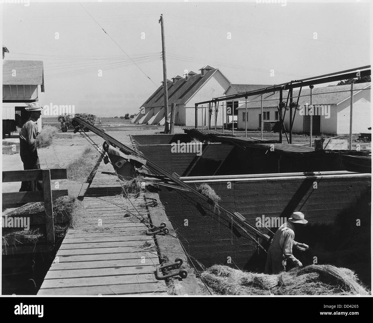 Retting Black and White Stock Photos & Images - Alamy