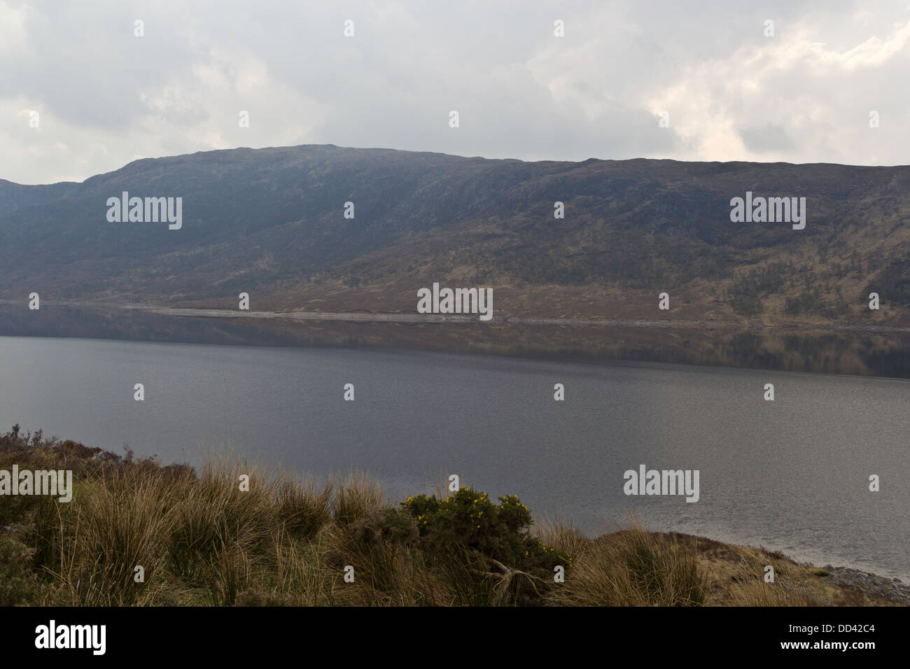Loch water hill greenery sky hi-res stock photography and images - Alamy