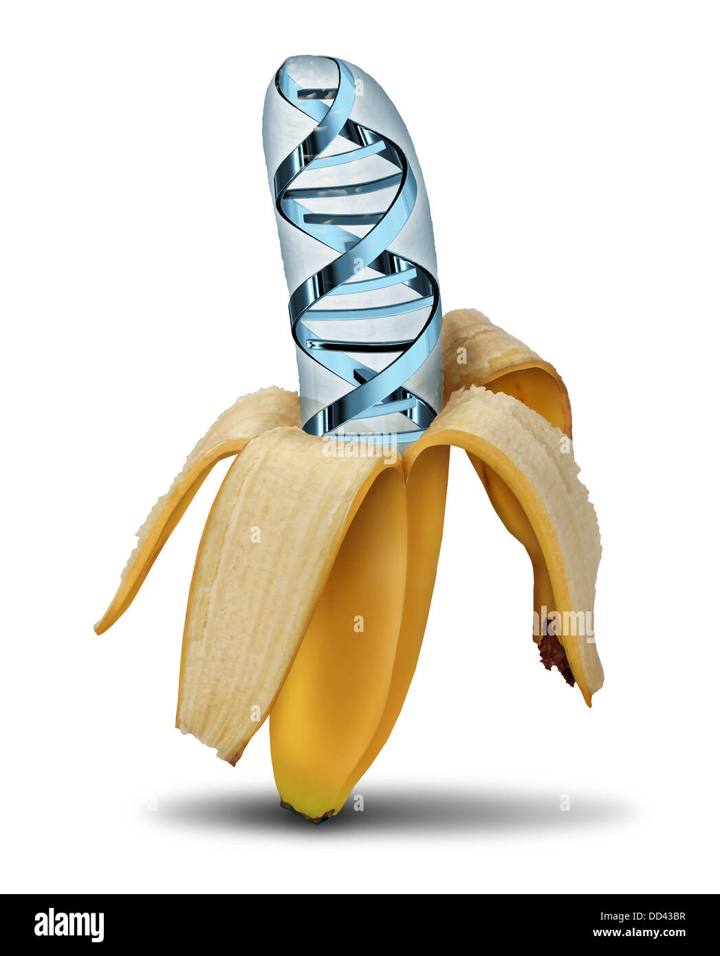 Genetically modified food concept using biotechnology and genetics ...