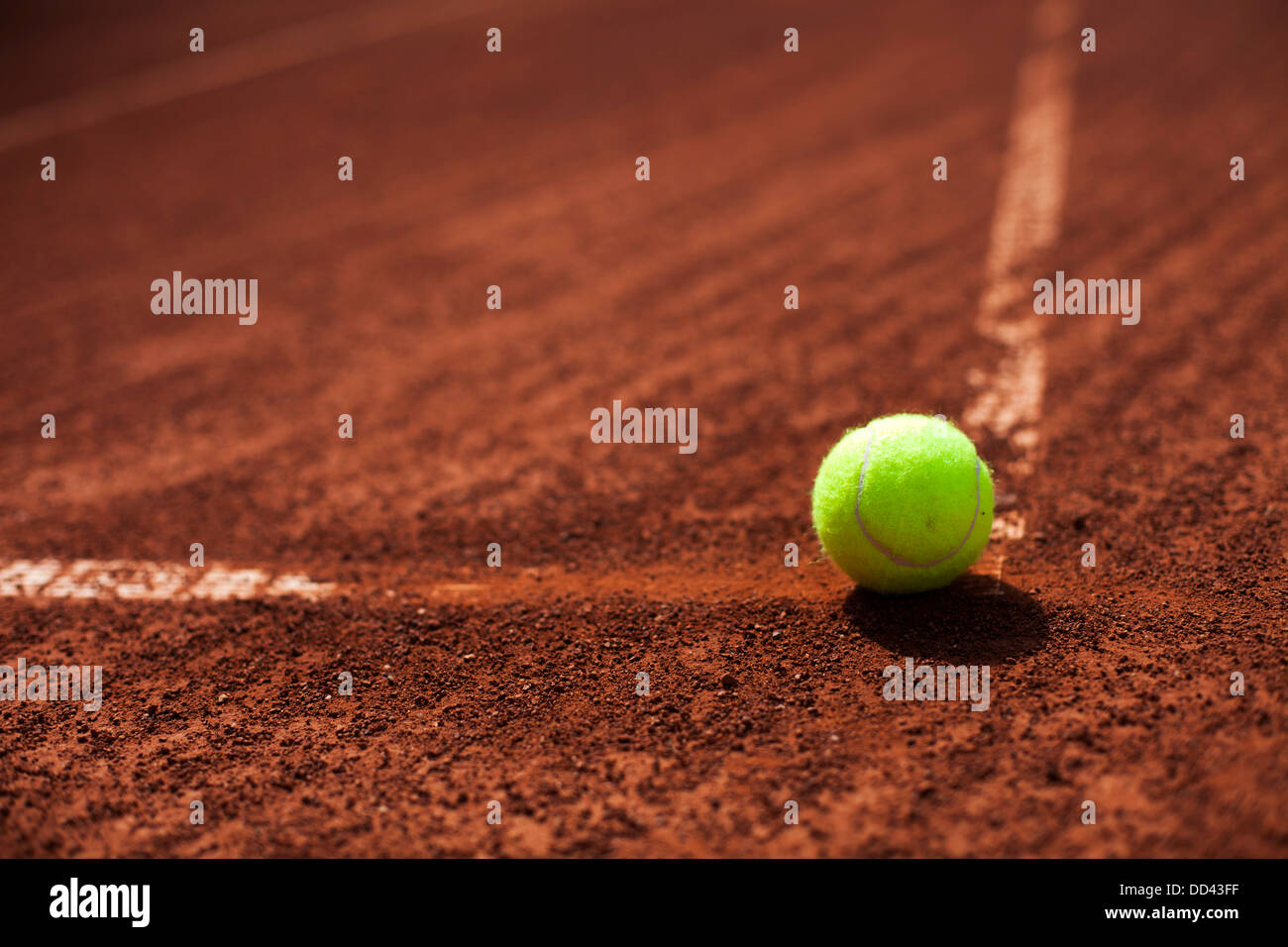 Tennis balls and rocket on court field in sunny day Stock Photo - Alamy