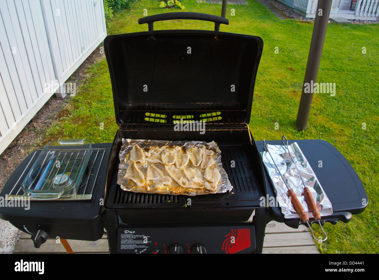 Garden bbq hi-res stock photography and images - Alamy