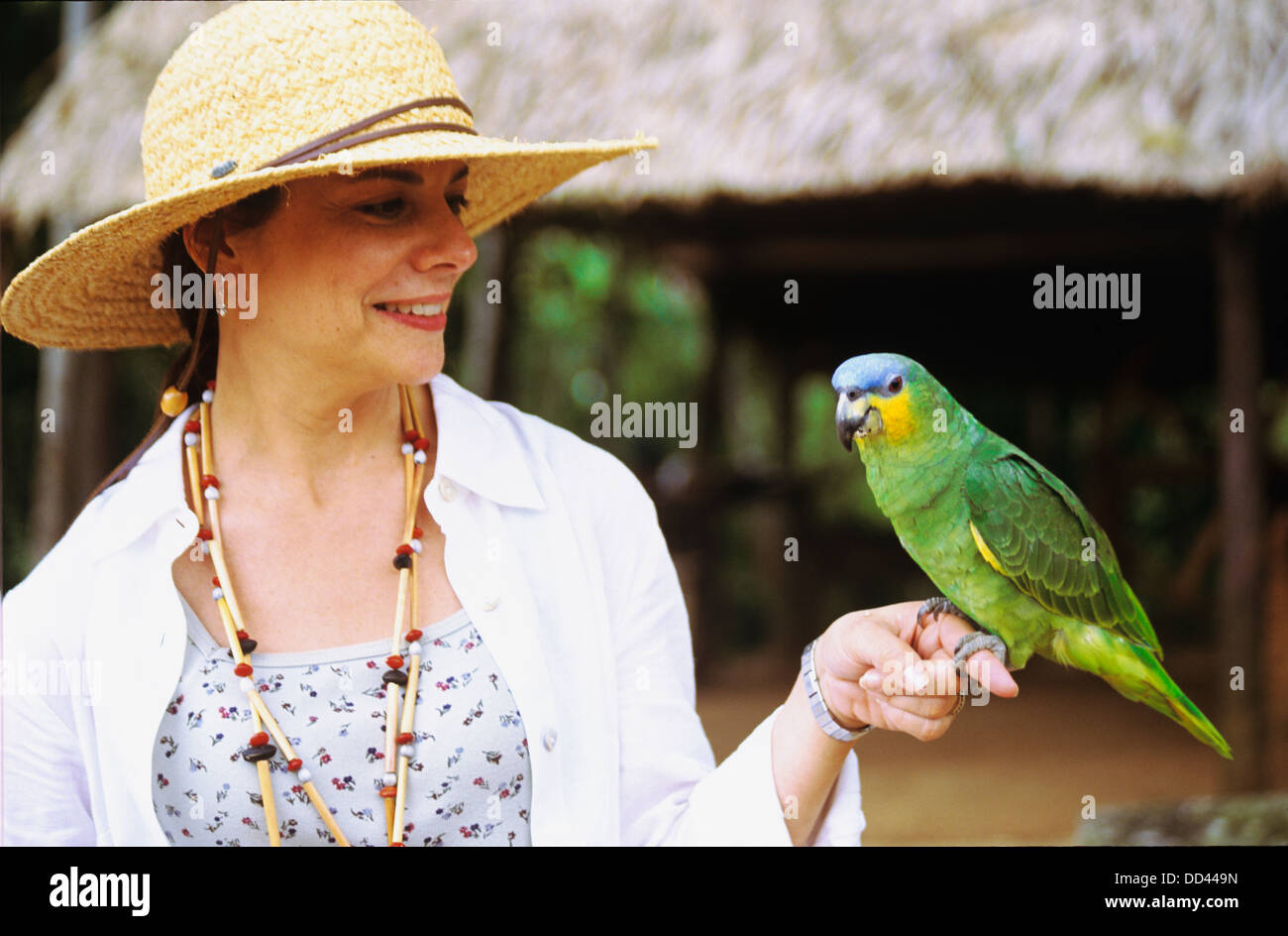Visitor with pet parrot, Amazon region, Brazil Stock Photo - Alamy
